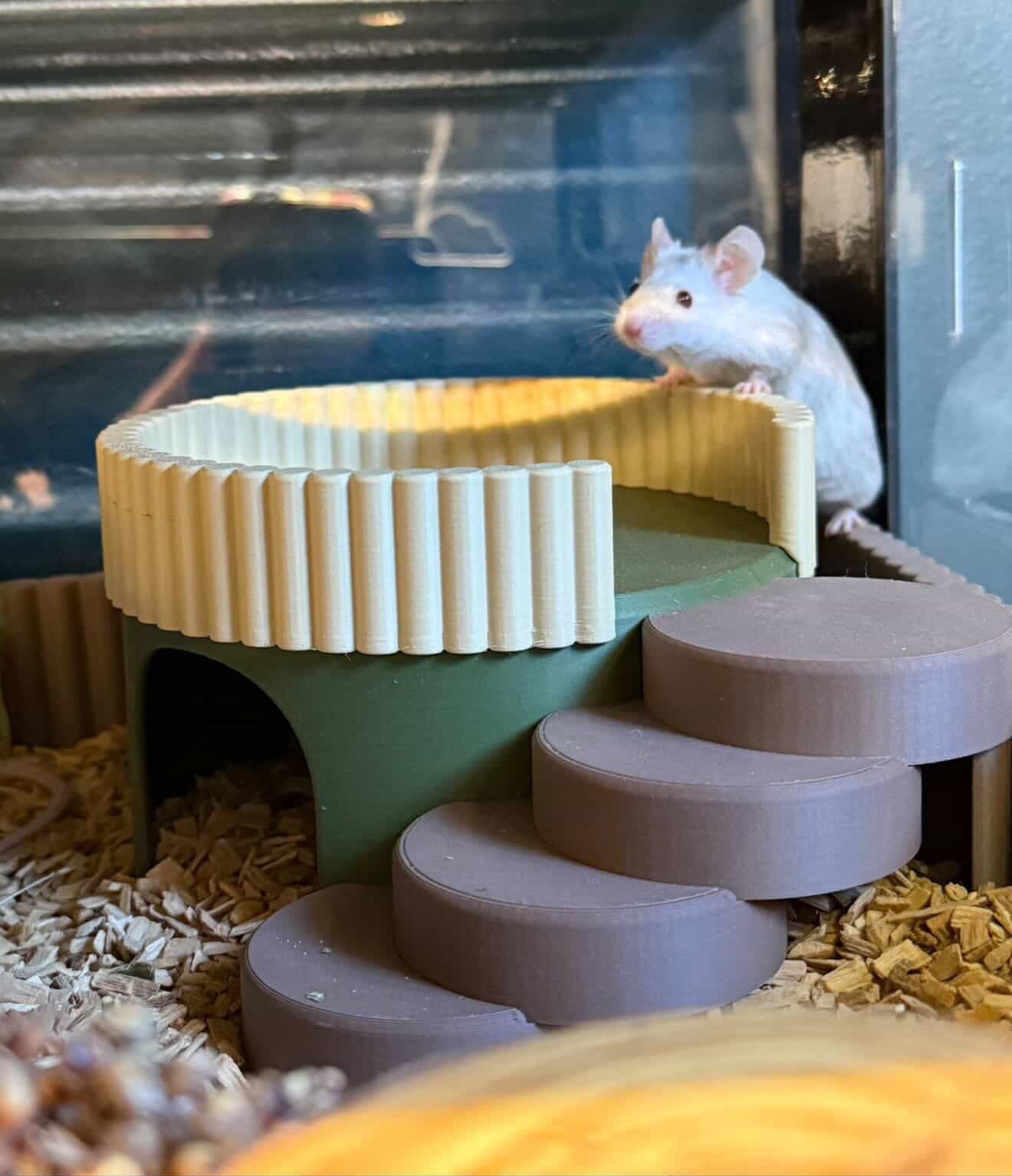 Hamster Hideout – Multi-Level Circular Hide for Syrian & Dwarf – RoseLark